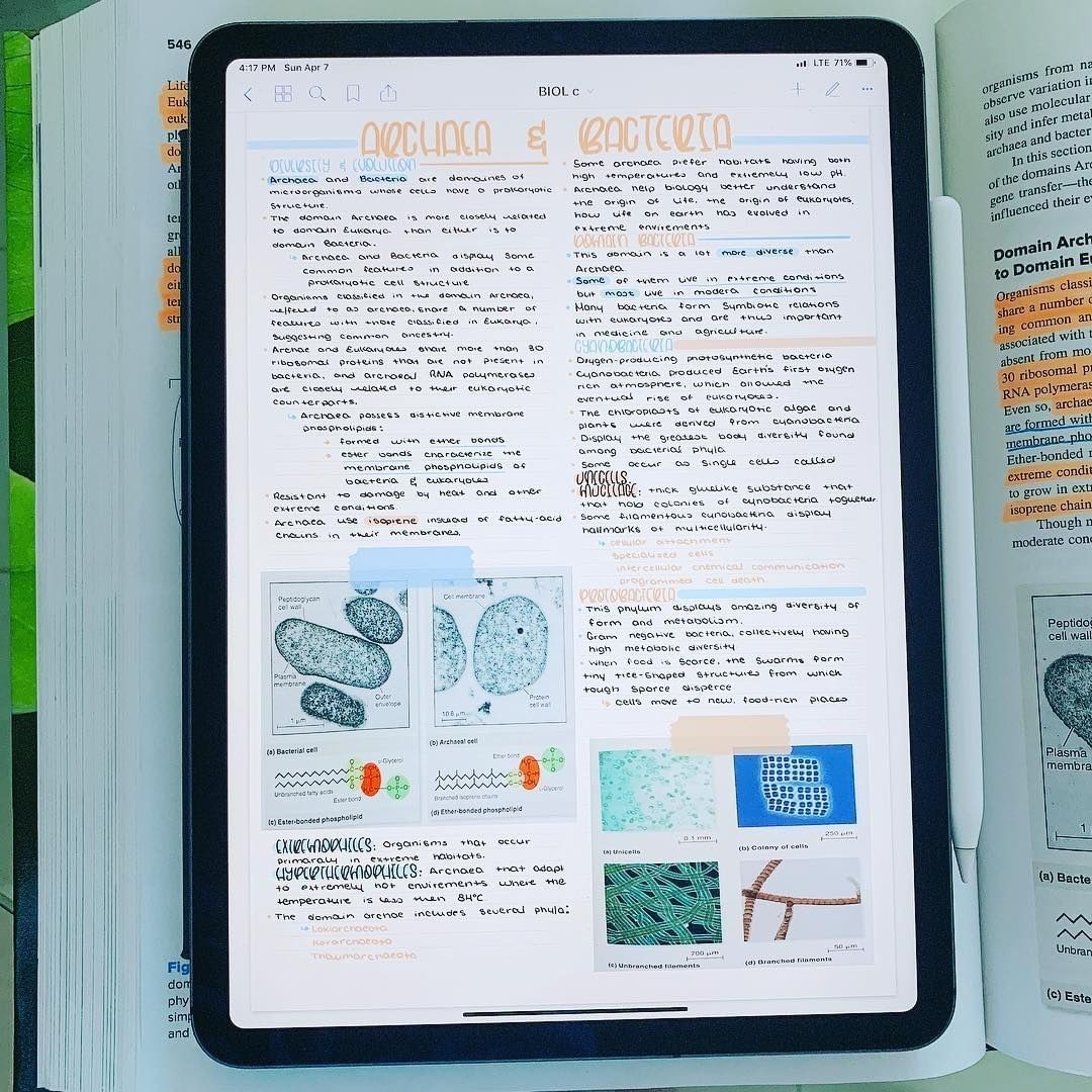 GoodNotes | Best Note-Taking App for iPad