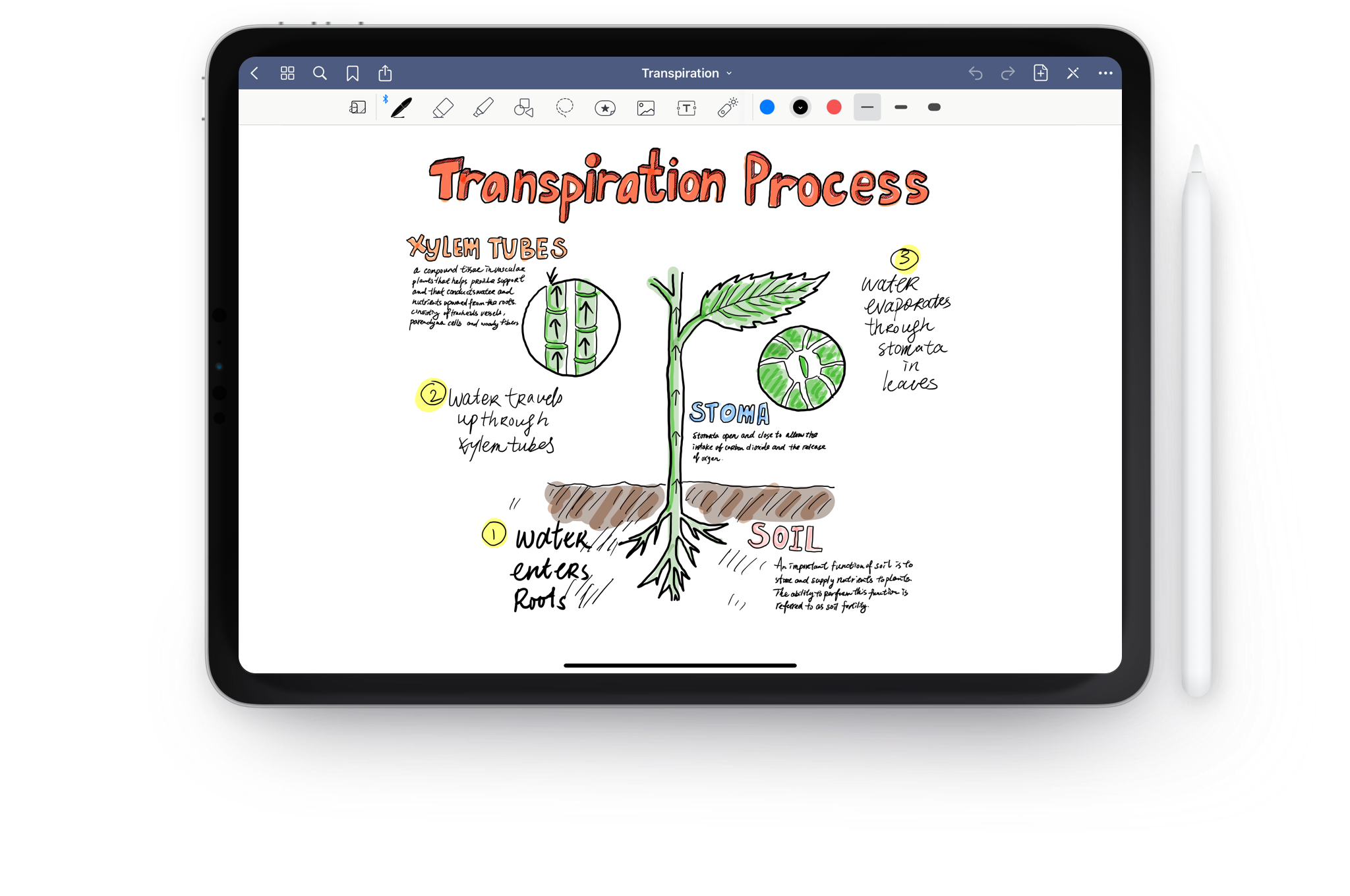 GoodNotes | Best Note-Taking App for iPad